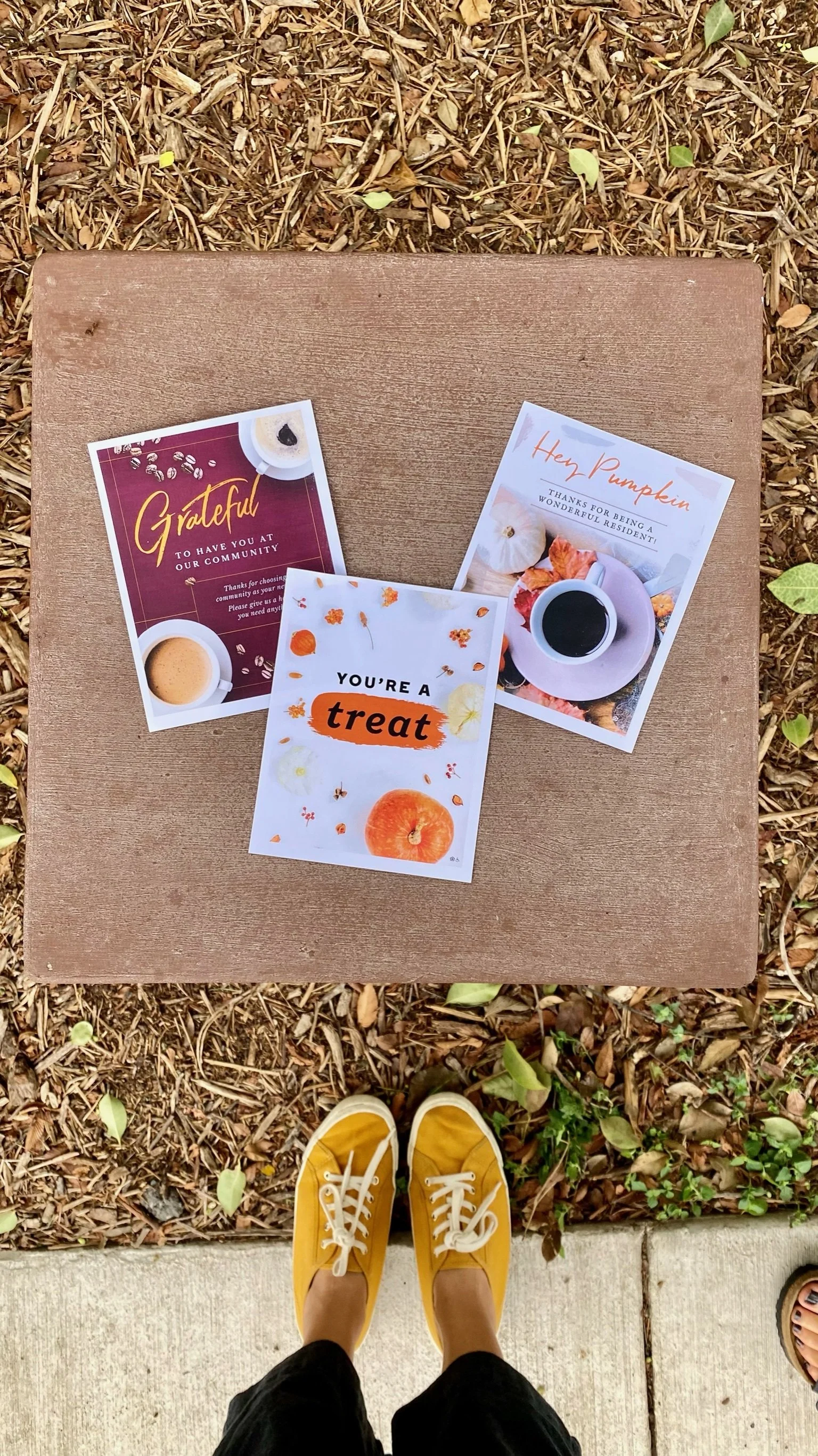 Fall Resident Appreciation Ideas & Easy Gifts — Sprout Marketing