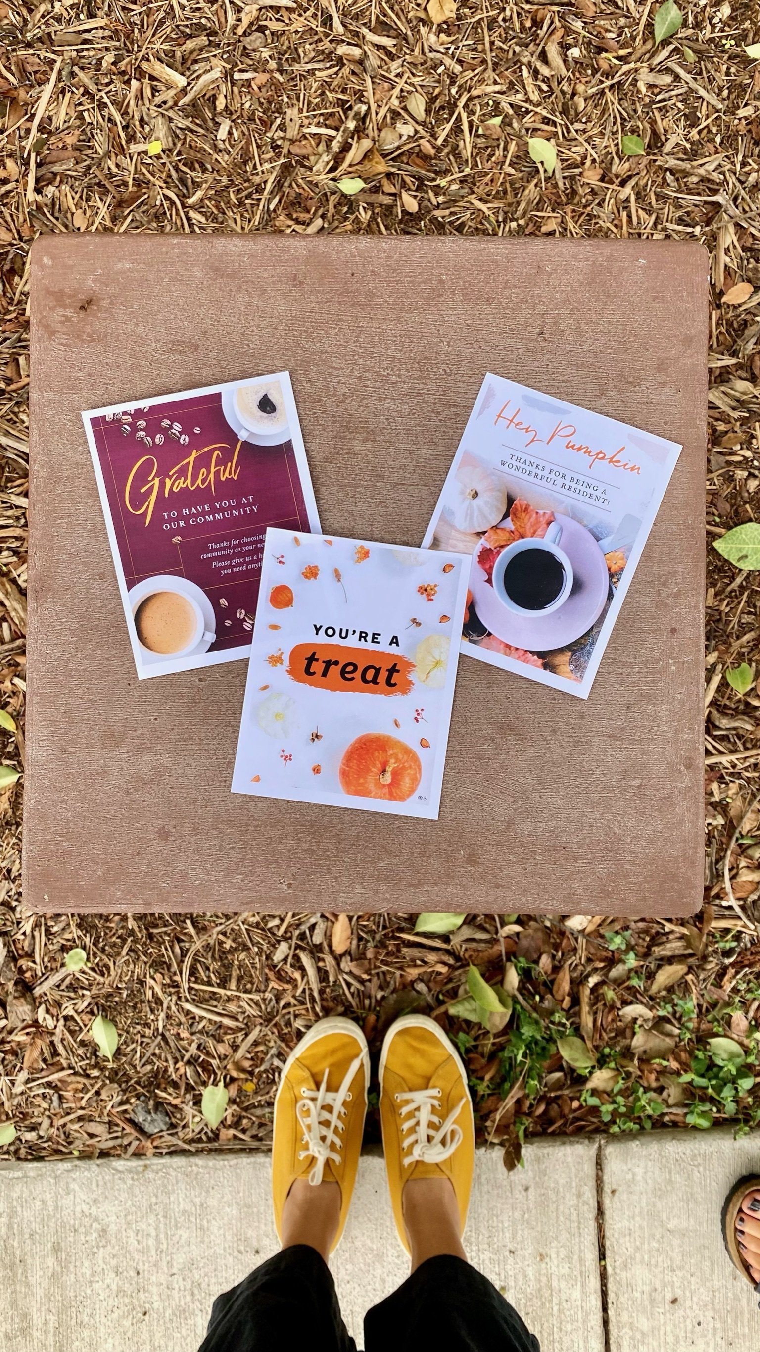 Fall Resident Appreciation Ideas & Easy Gifts — Sprout Marketing