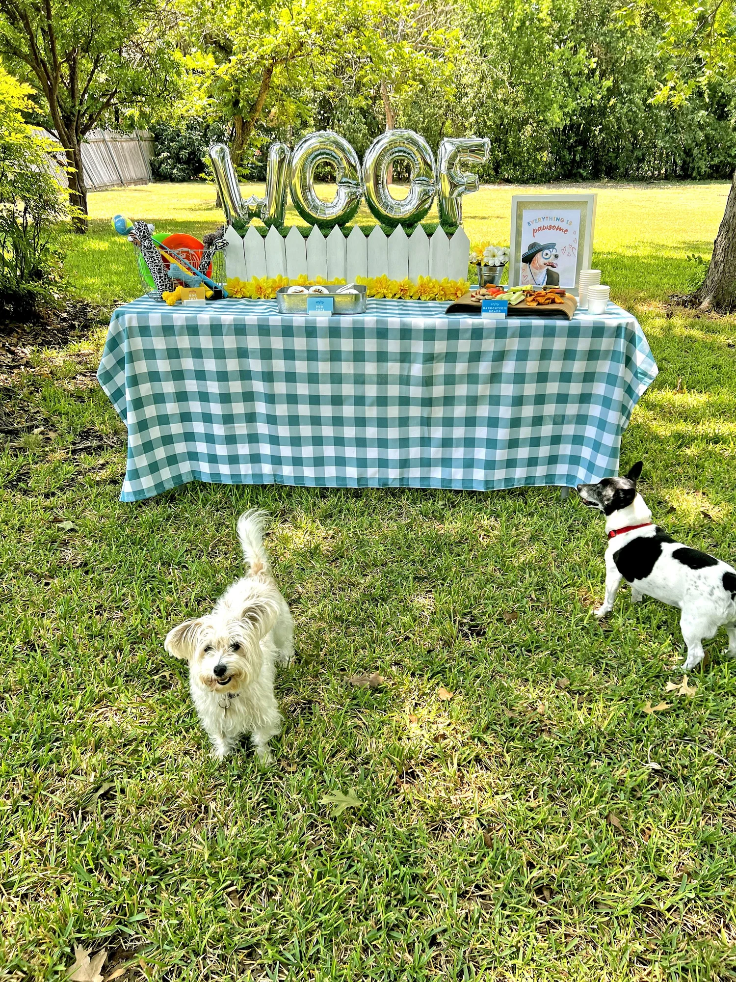 Why Resident Events Market Your Apartment — Sprout Marketing