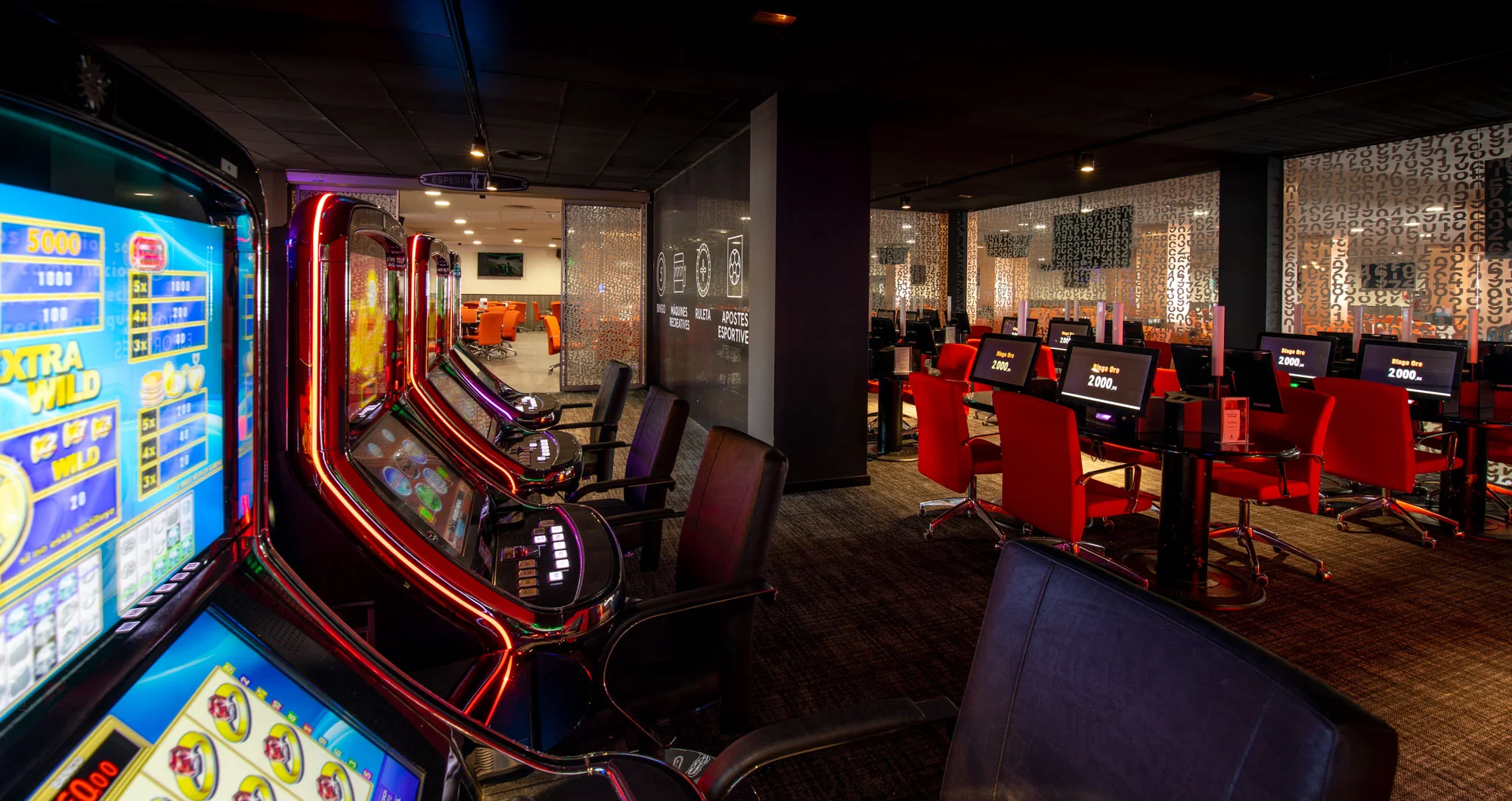 Bingo Pineda — Grup Binelde