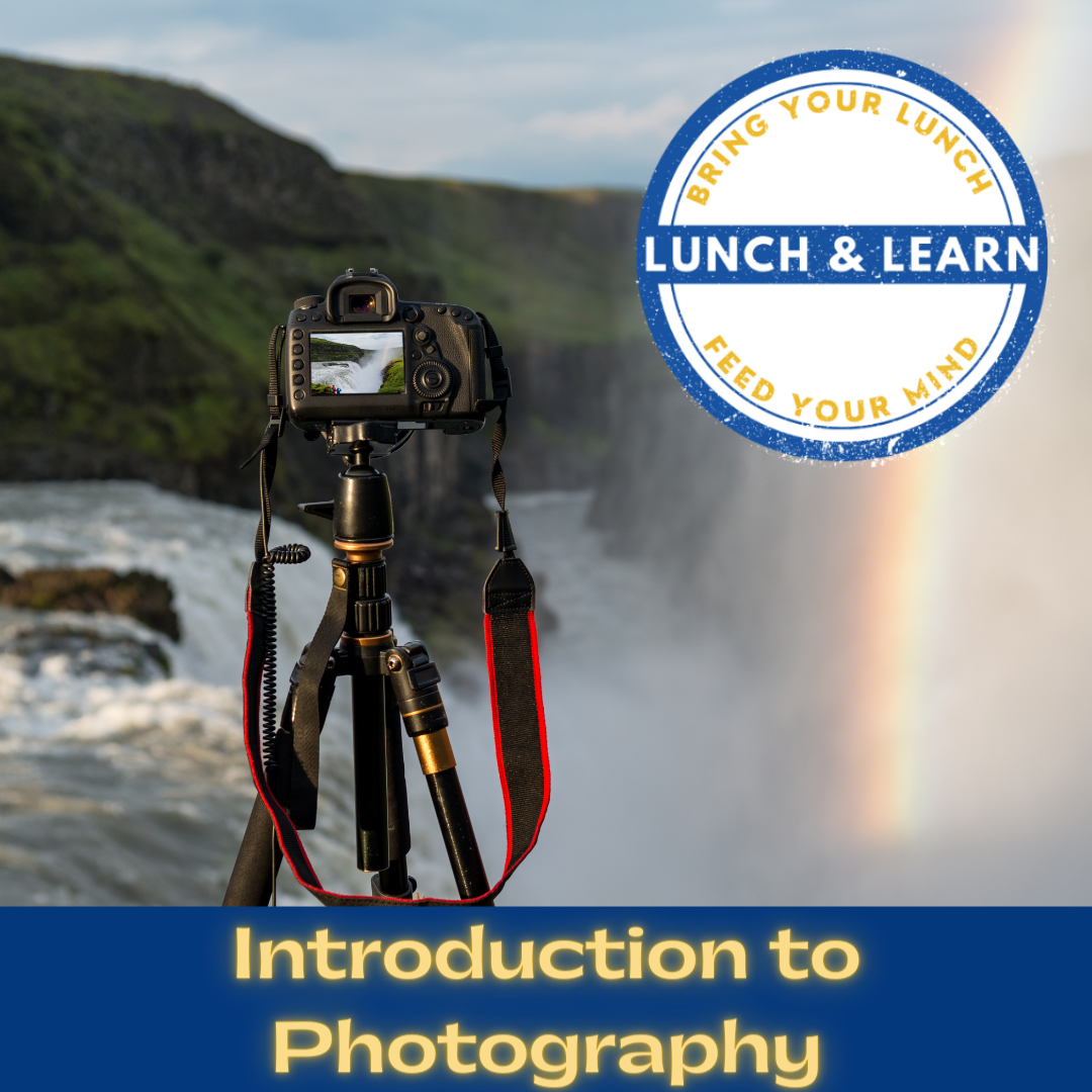 Adults — Bateman Library