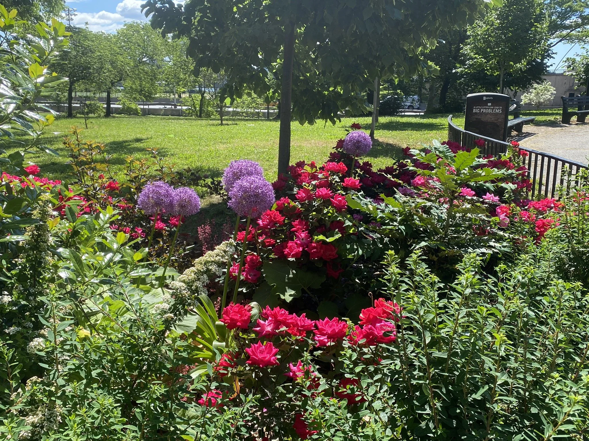 Friends of Corlears Hook Park