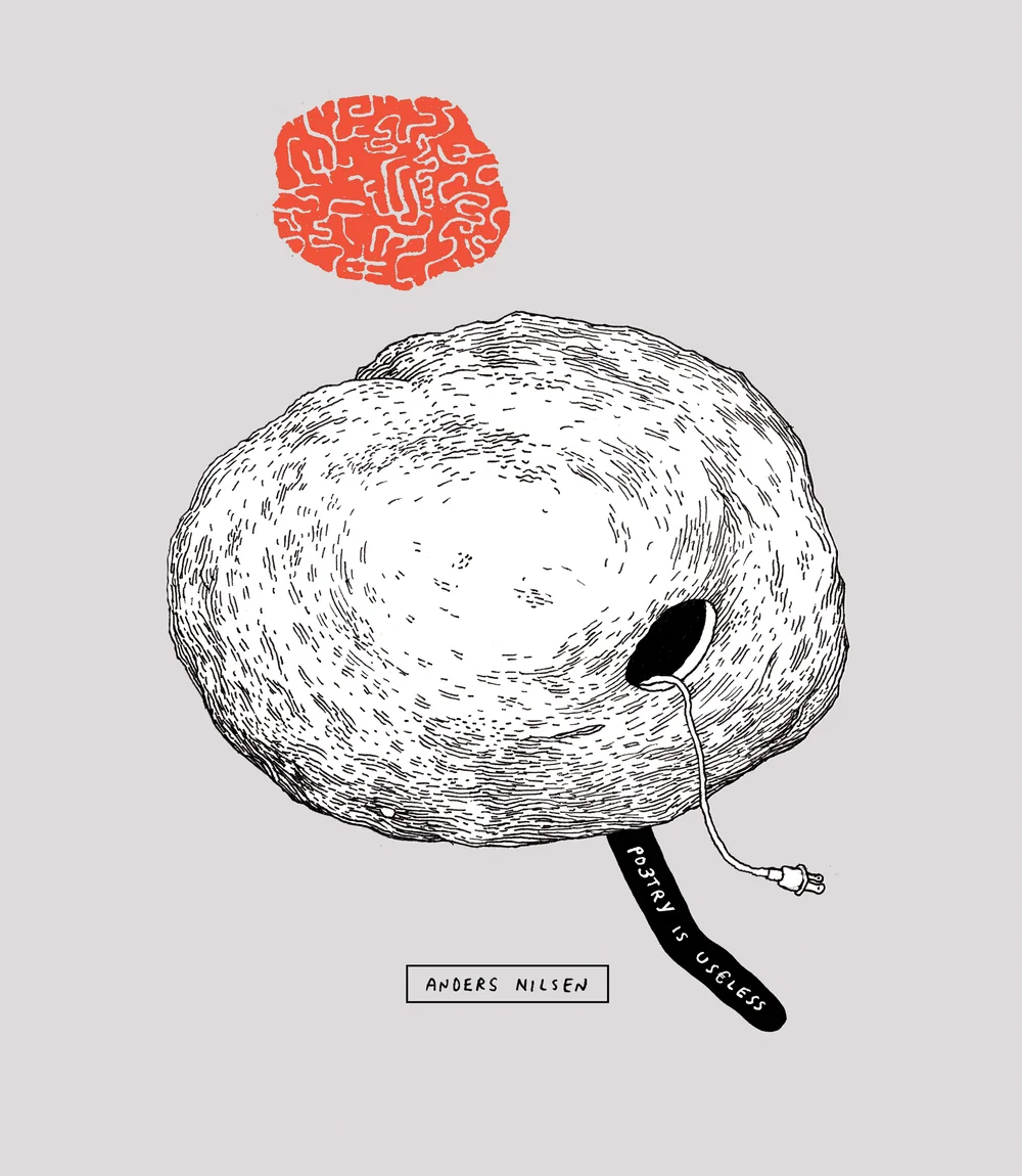 Poetry Is Useless — Anders Nilsen