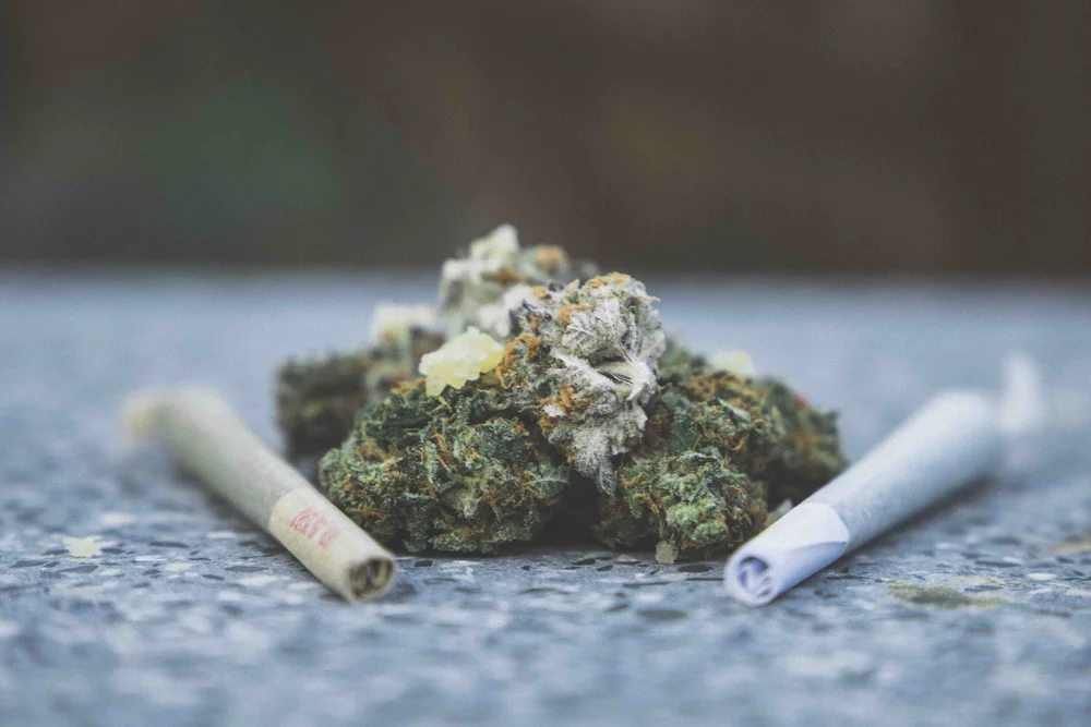 Looking Through the Smoke: Debunking the Stereotypical Pothead — PULSE ...