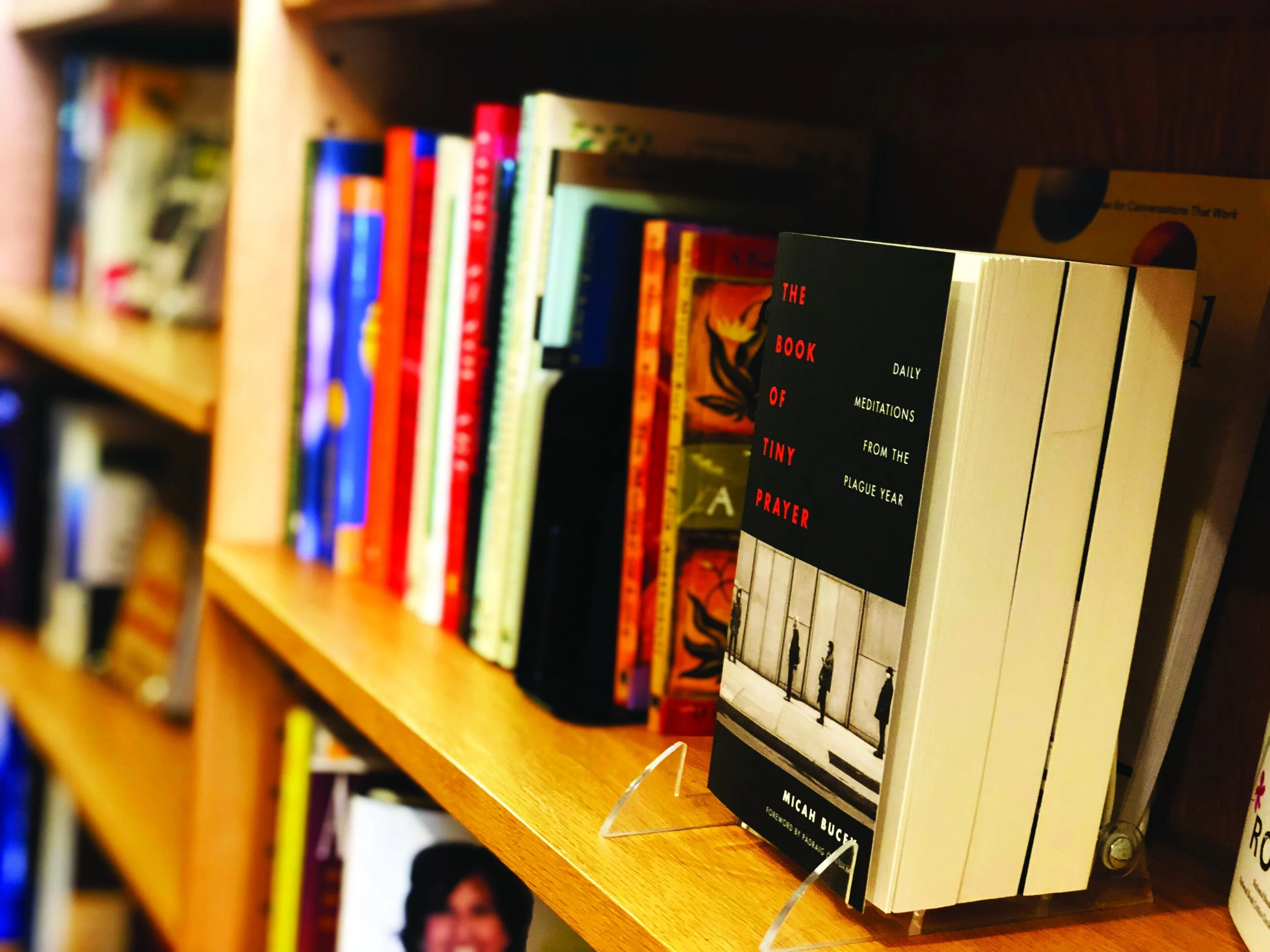 Pearl Street Bookstore — PULSE Magazine