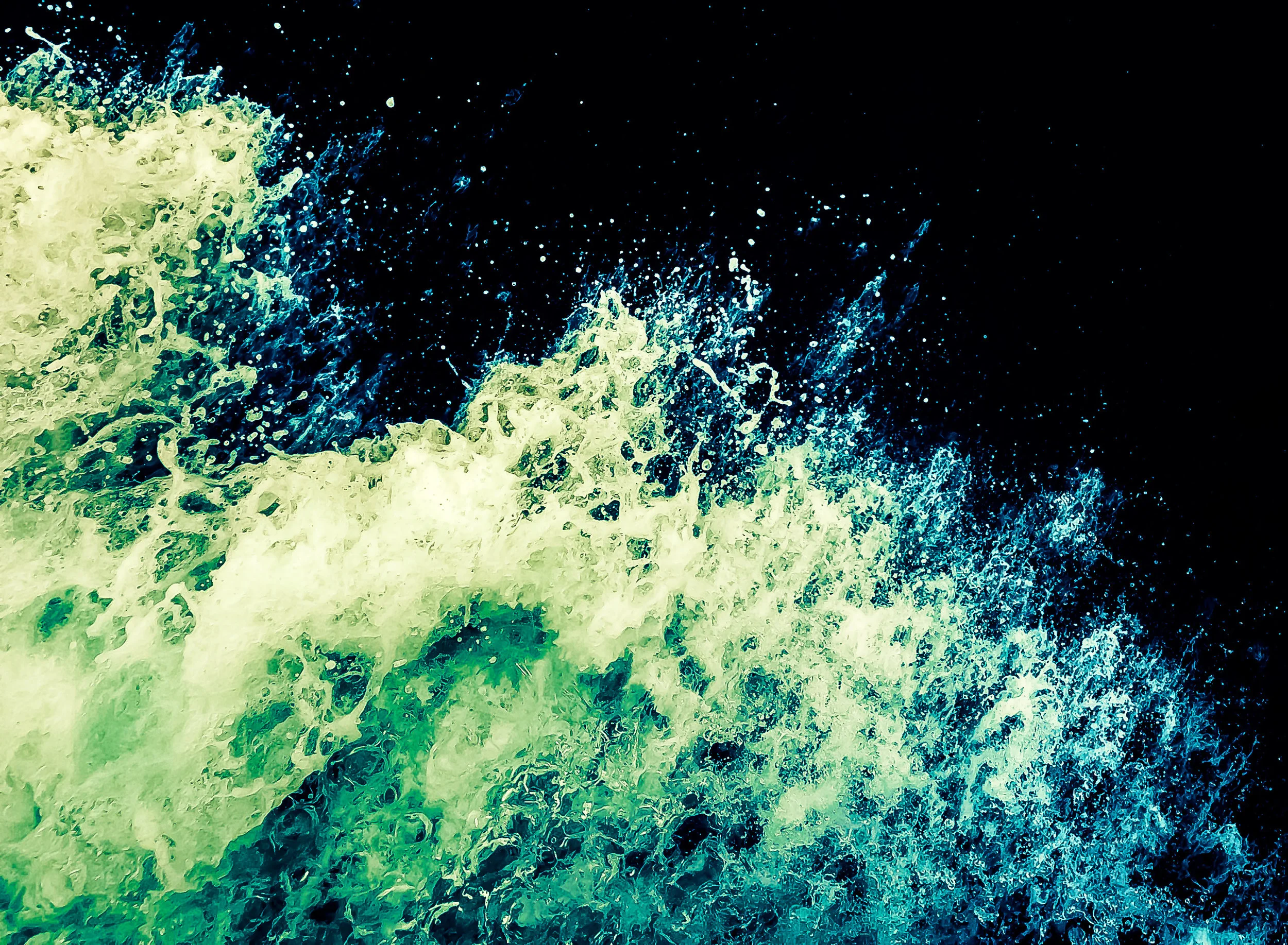 Hospitality Arts Partnership