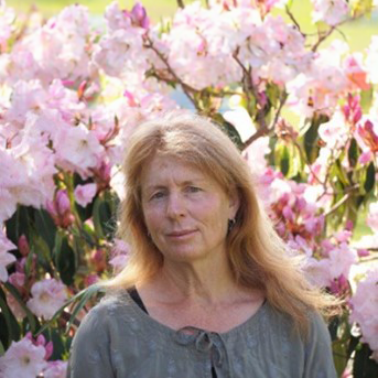 The Suter Store — The Suter Art Gallery