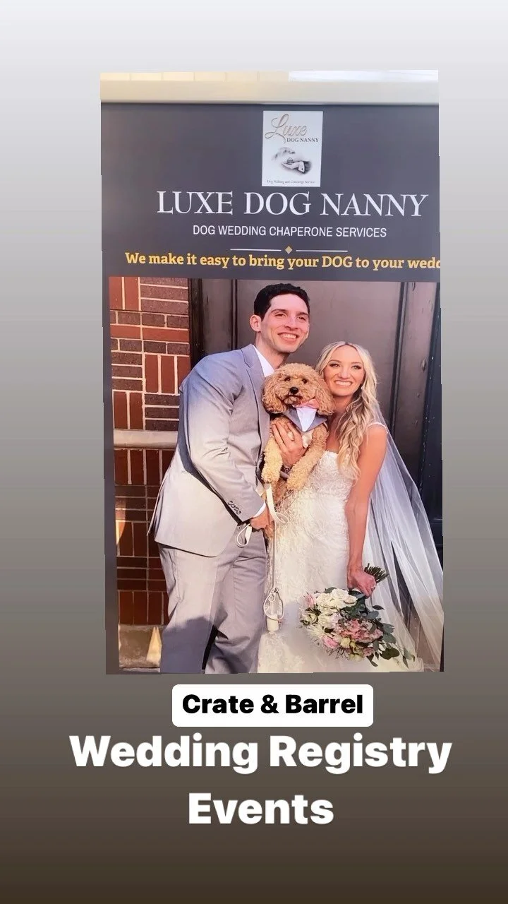Luxe Dog Nanny