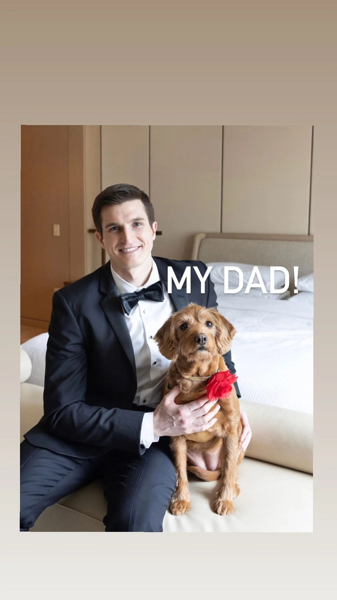 Luxe Dog Nanny