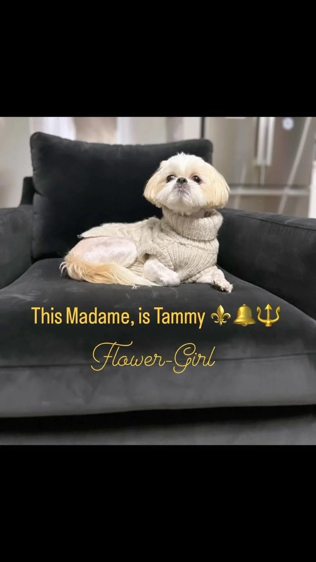 Luxe Dog Nanny