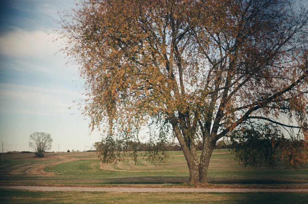 Tours at Rippavilla — The Battle of Franklin Trust