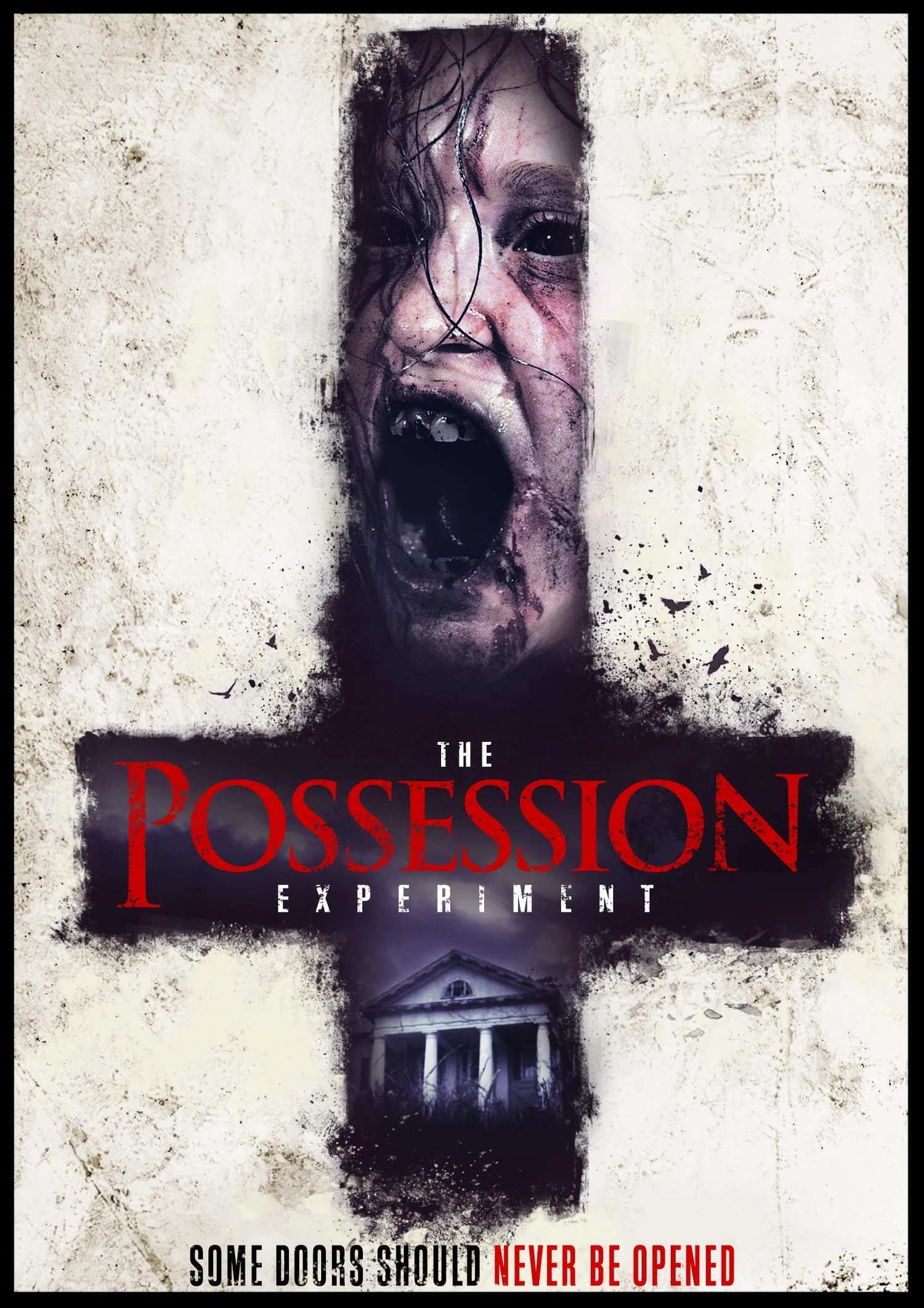 THE POSSESSION EXPERIMENT gets a Release Date, Trailer & Stills — The ...
