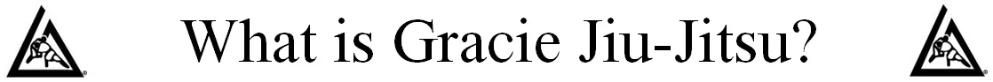 What Is GJJ? — Gracie Jiu-Jitsu Fort Wayne