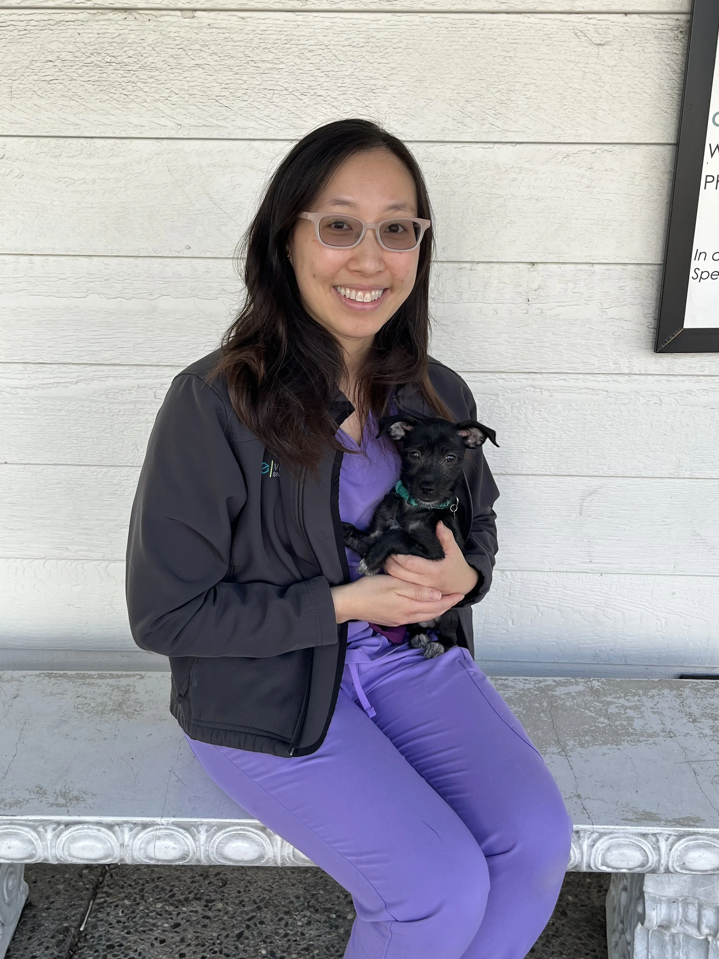 Veterinarians — Warm Springs Pet Hospital