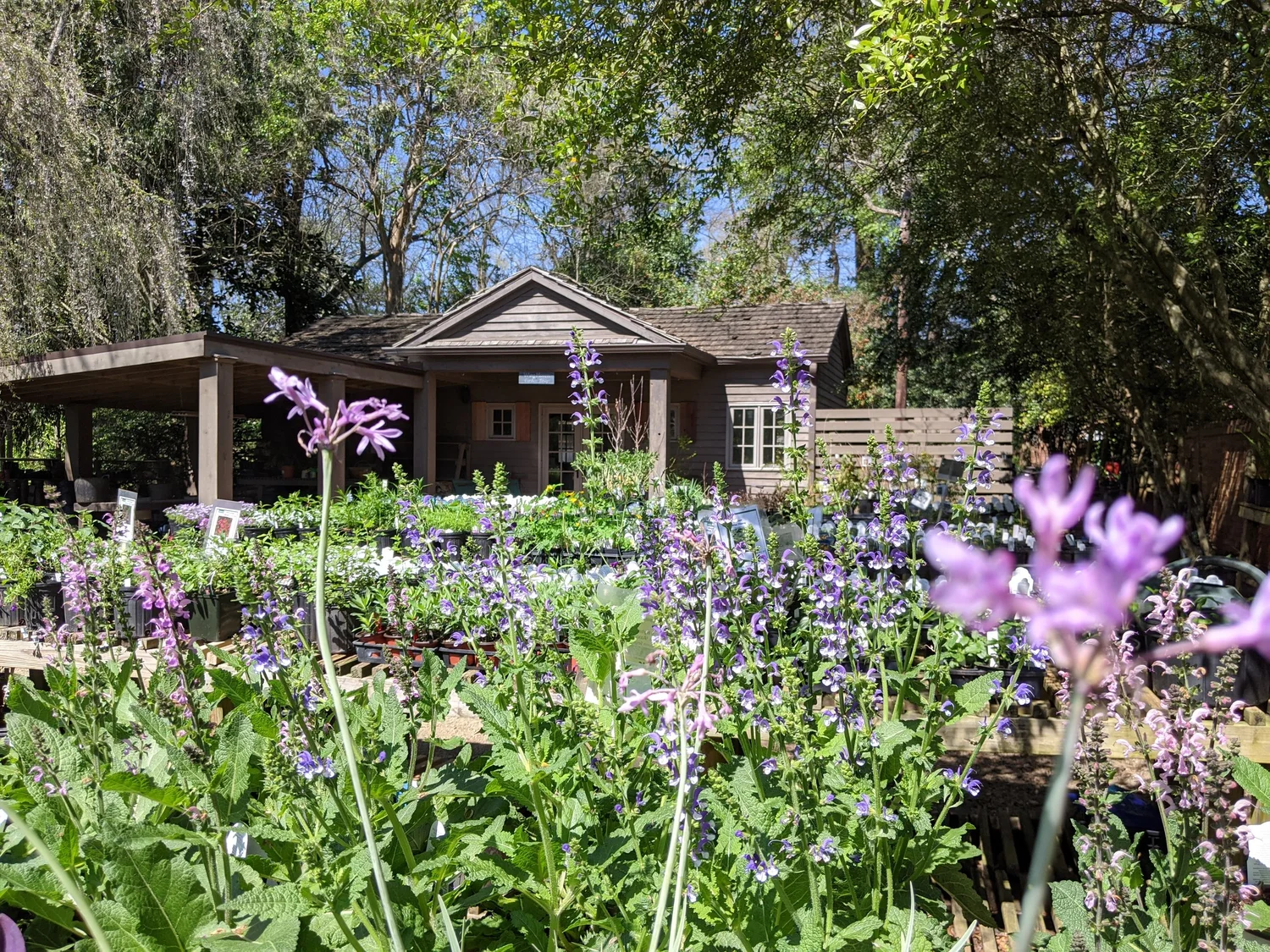 Happenings: Events and Programs — Wing Haven