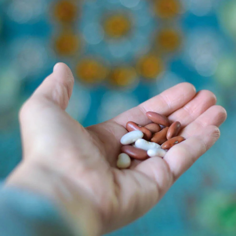 Our Money Story: Creative & Practical Resources for Stewardship — A ...