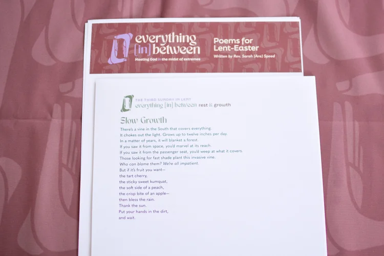Everything In Between: Meeting God in the midst of extremes—A Lenten ...