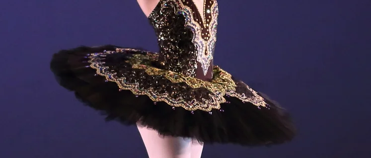 Registration — Idaho Falls School of Ballet