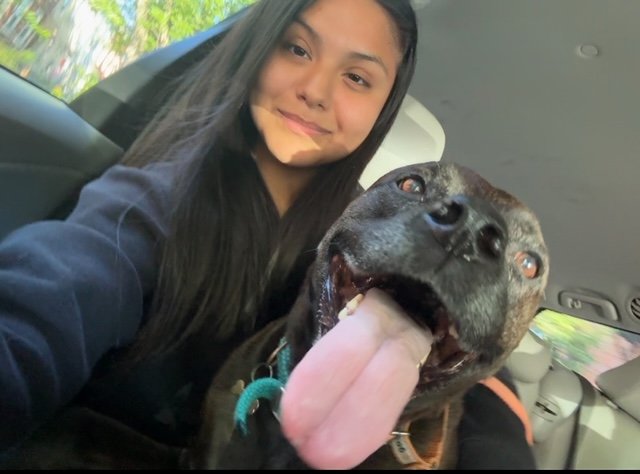 About — Paws & Rec®