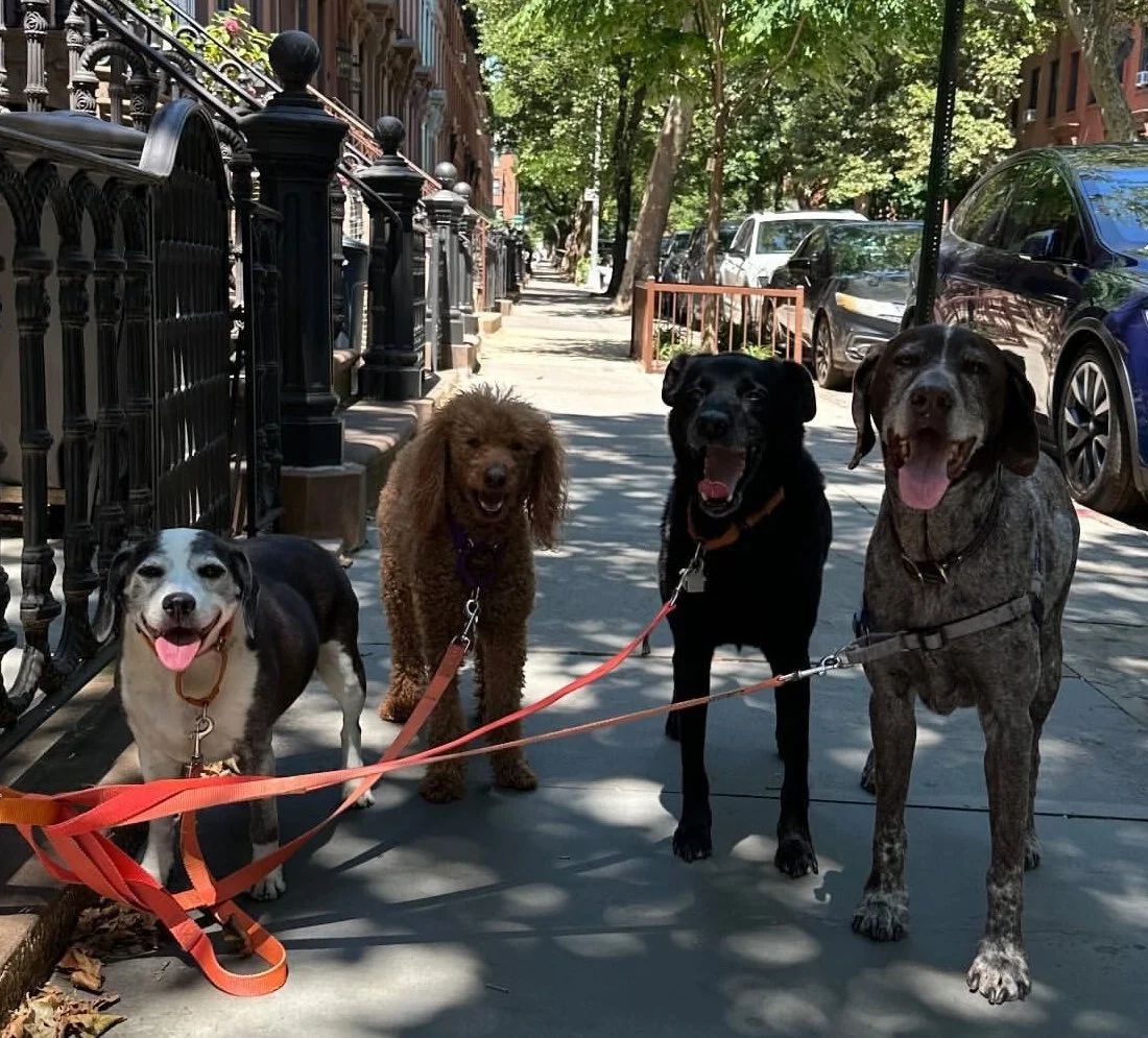 Paws & Rec®