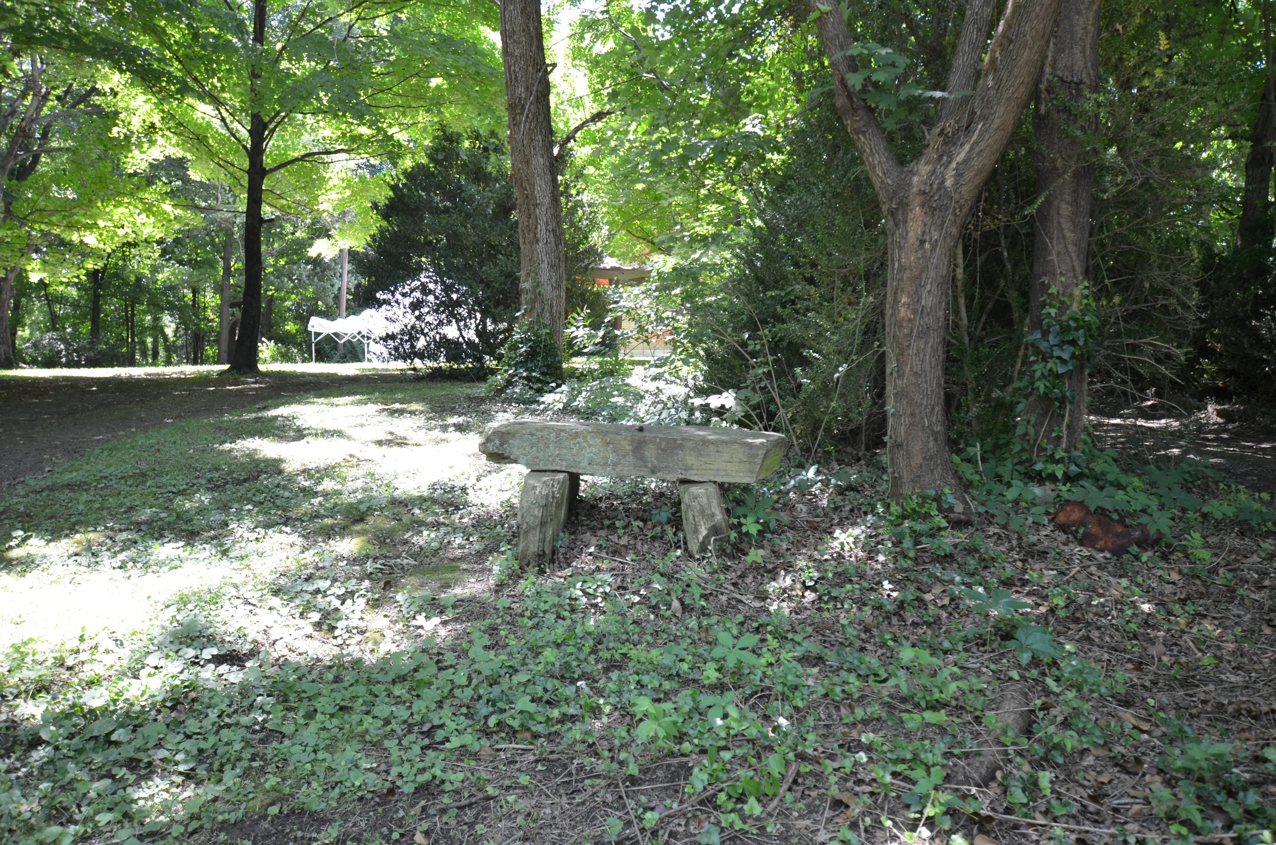 The House — Holt House