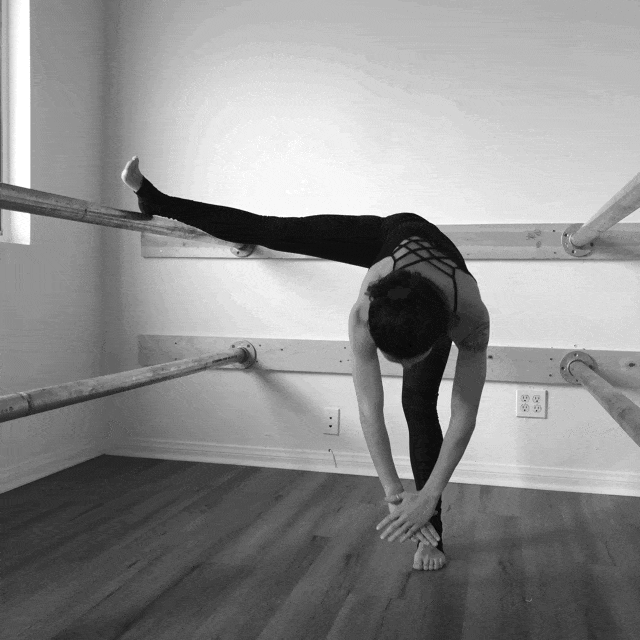 Compendium of Yogic Exercises — Bheemashakti Yoga School