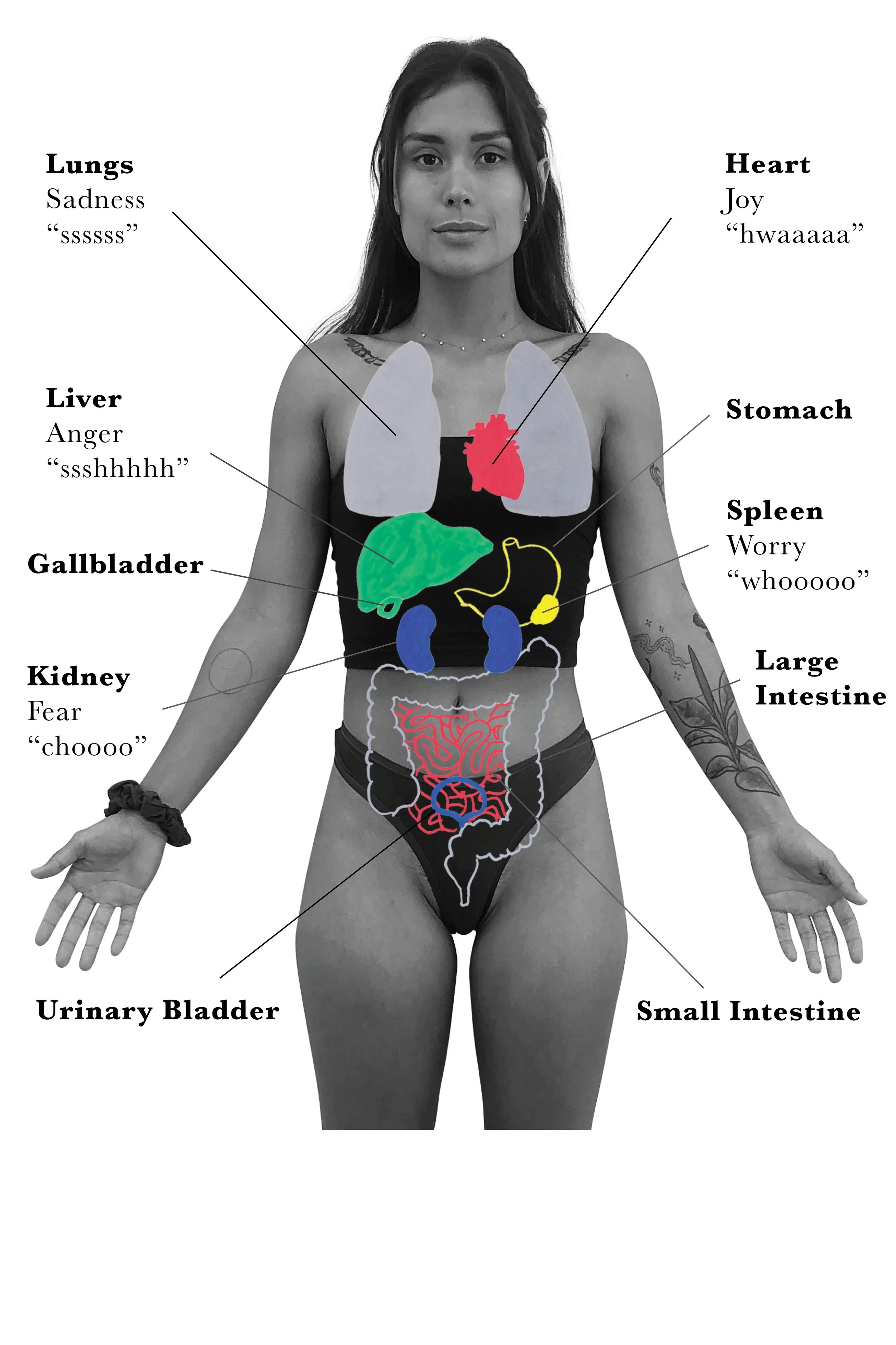 Energetic Anatomy — Bheemashakti Yoga School