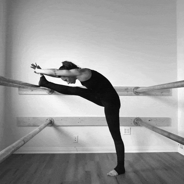 Compendium of Yogic Exercises — Bheemashakti Yoga School