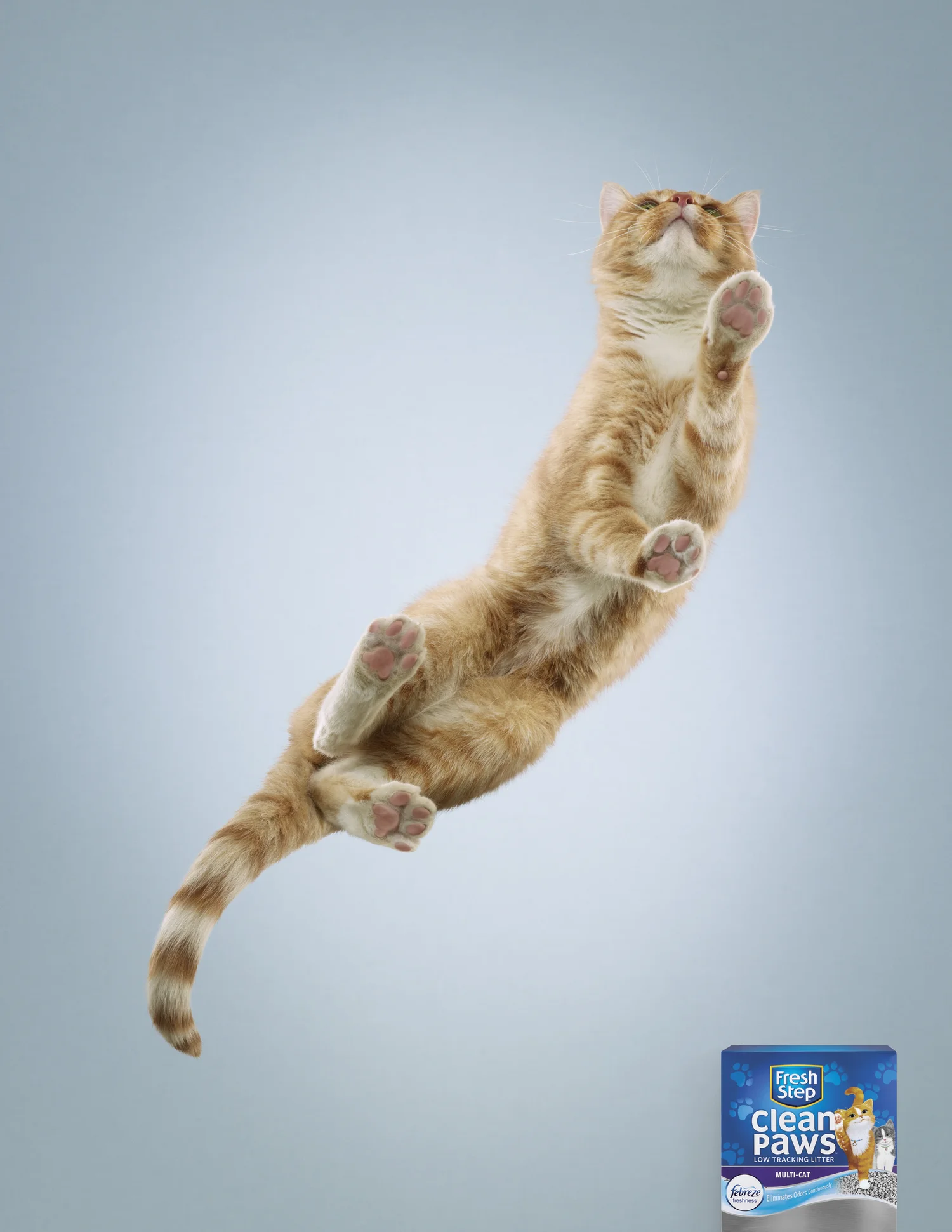 Fresh Step — Hannah Rand