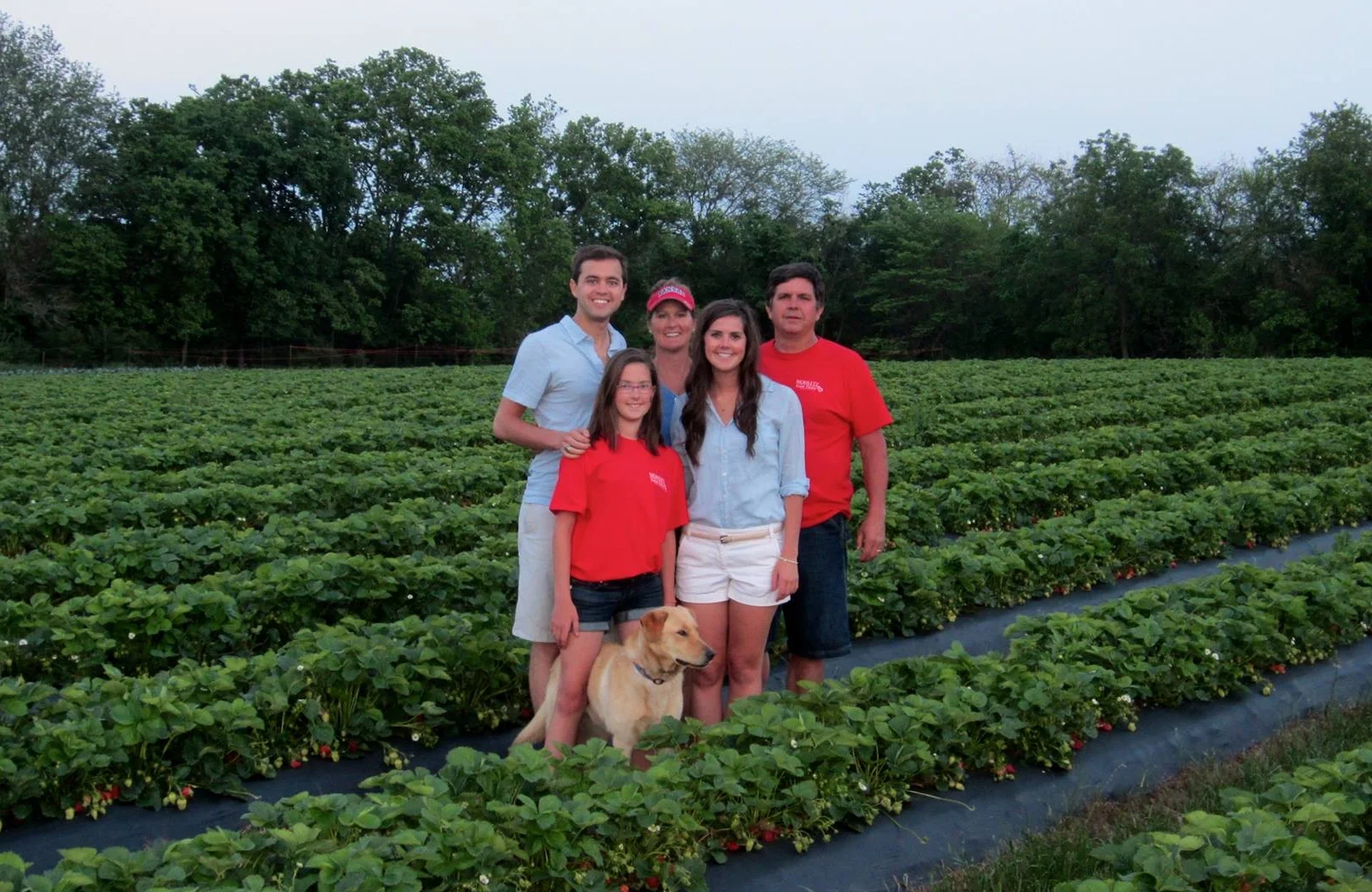 Wohletz Farm Fresh