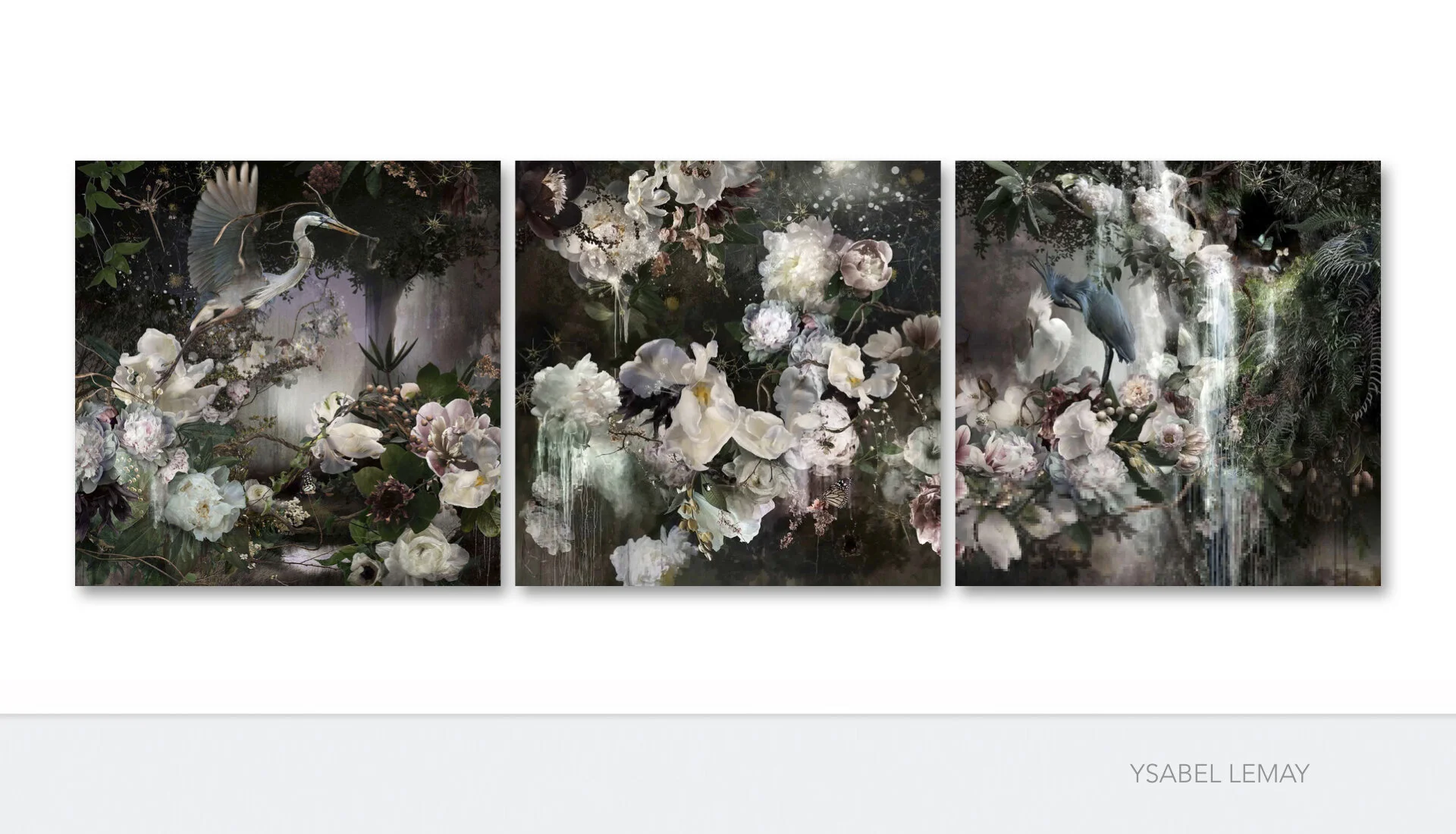 Christopher Martin Gallery