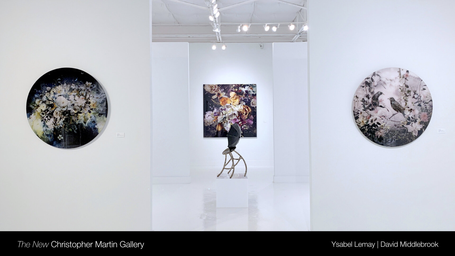 Christopher Martin Gallery— Ysabel LeMay