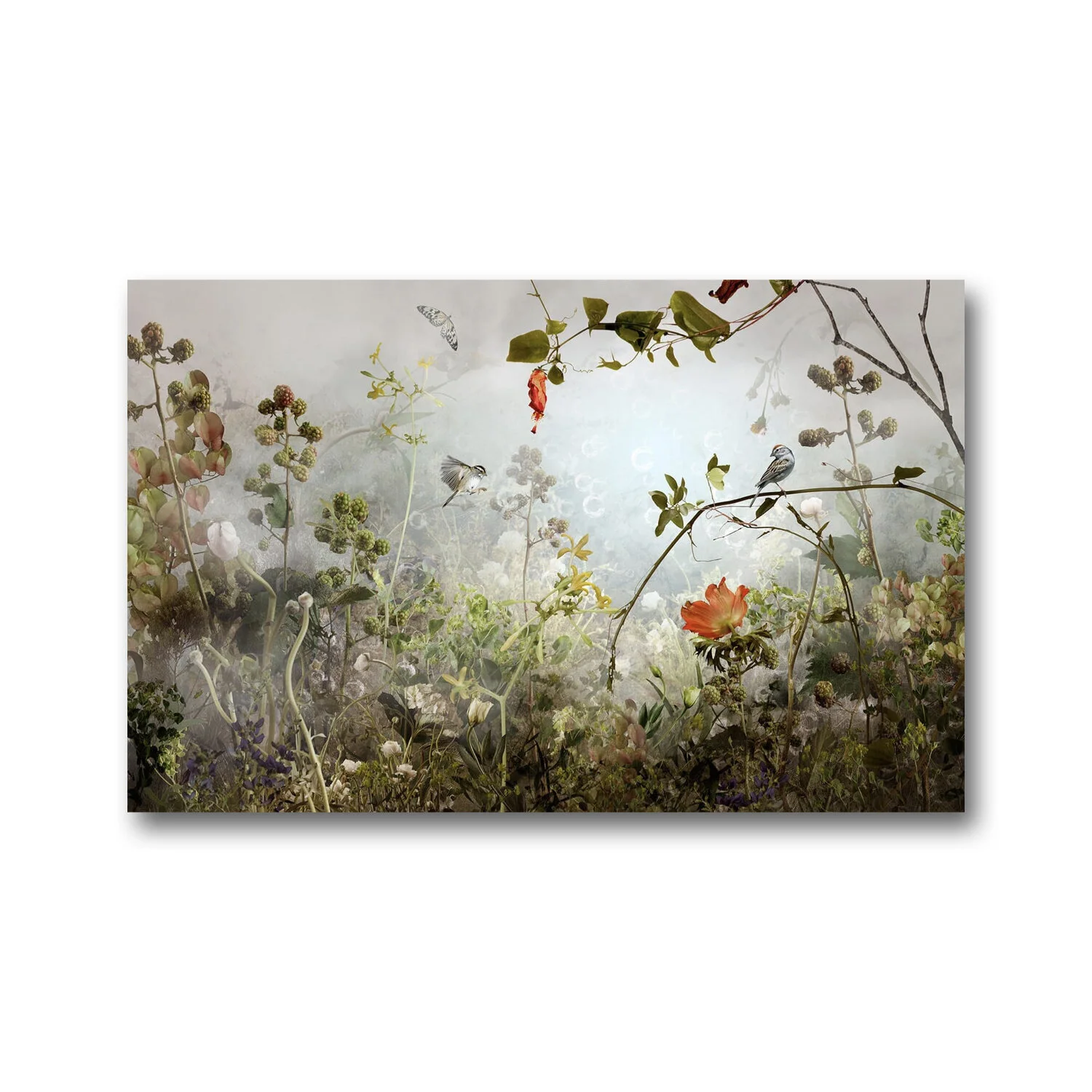 Christopher Martin Gallery— Ysabel LeMay