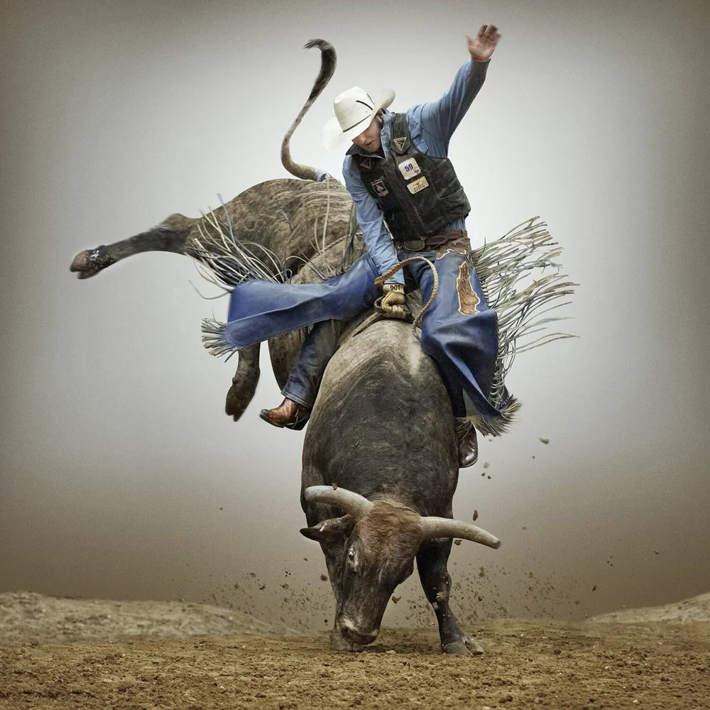 Cool Bull Riding Wallpaper