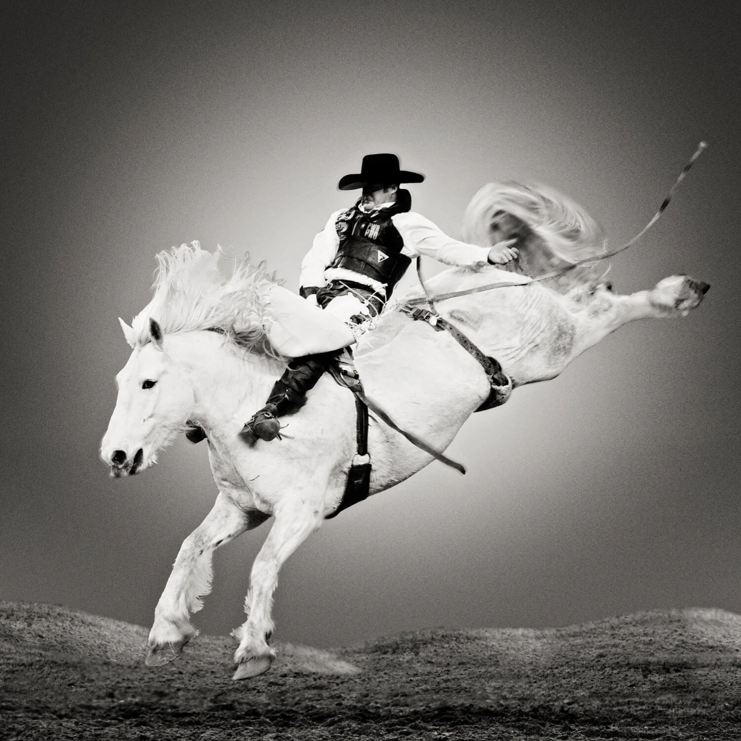 Christopher Martin Gallery— Steve Wrubel