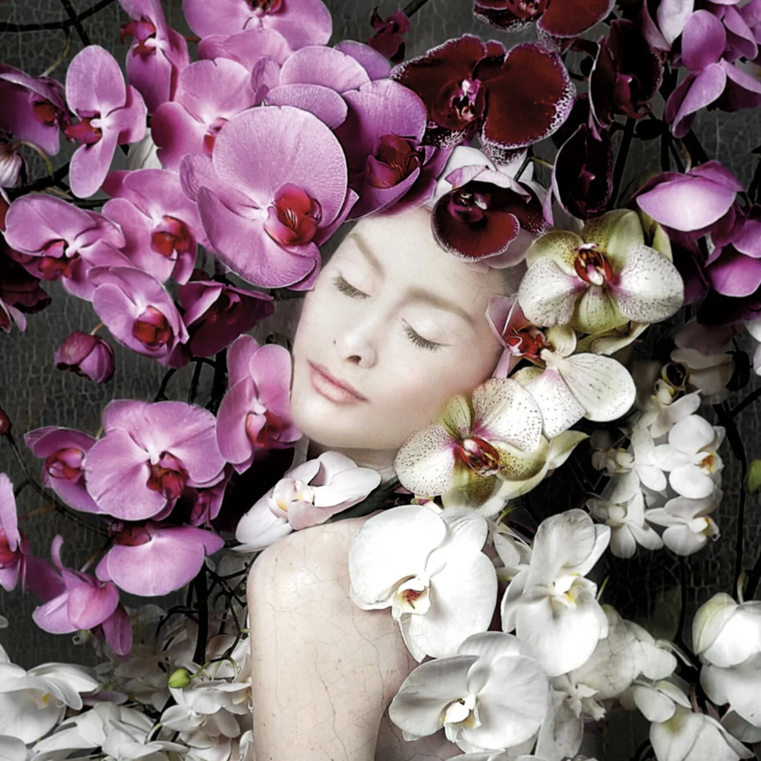 Christopher Martin Gallery— Isabelle Van Zeijl