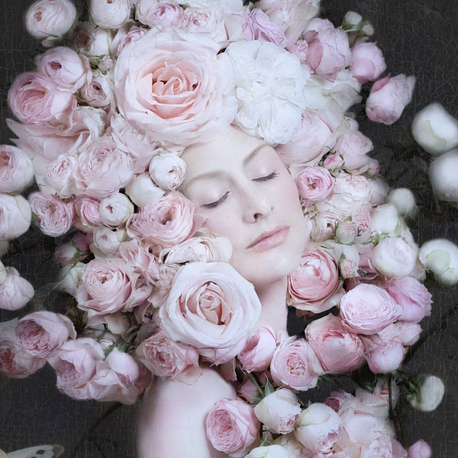 Christopher Martin Gallery— Isabelle Van Zeijl