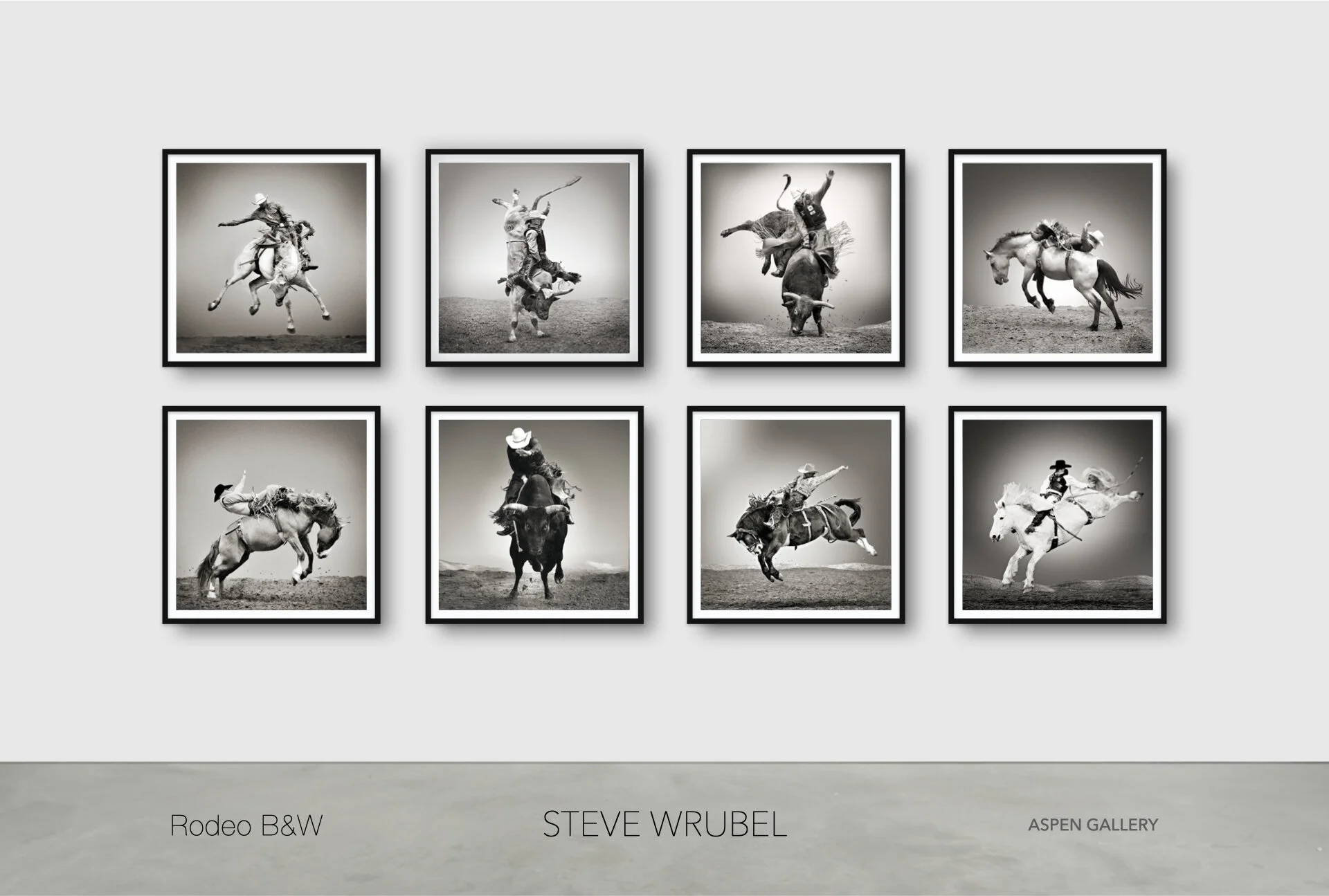 Christopher Martin Gallery— Steve Wrubel