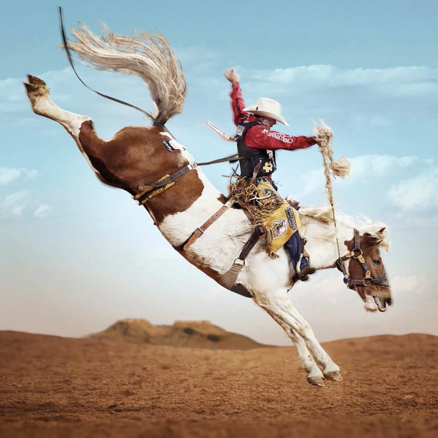 Christopher Martin Gallery— Steve Wrubel