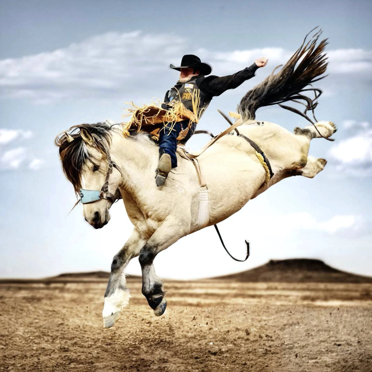 Christopher Martin Gallery— Steve Wrubel