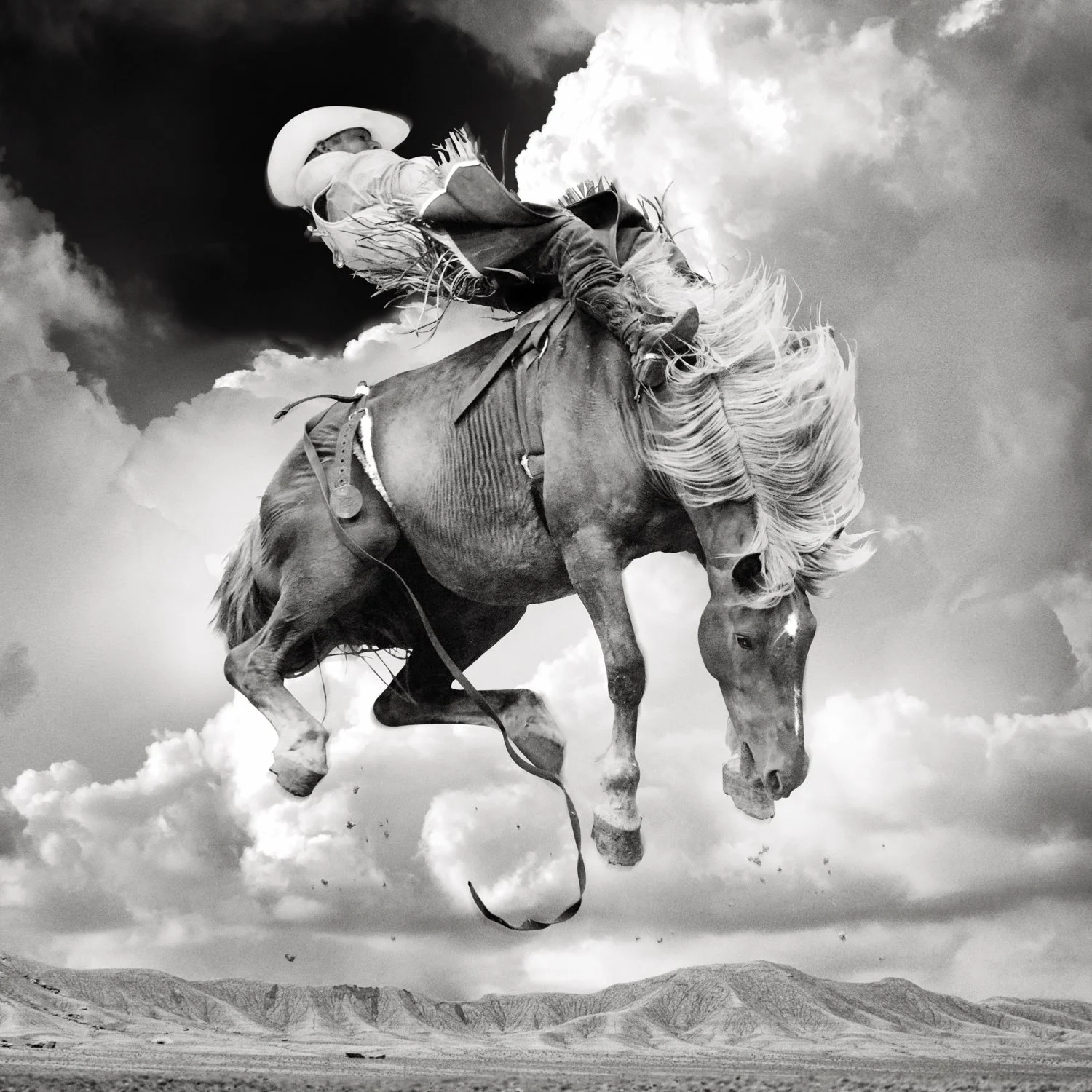 Christopher Martin Gallery— Steve Wrubel