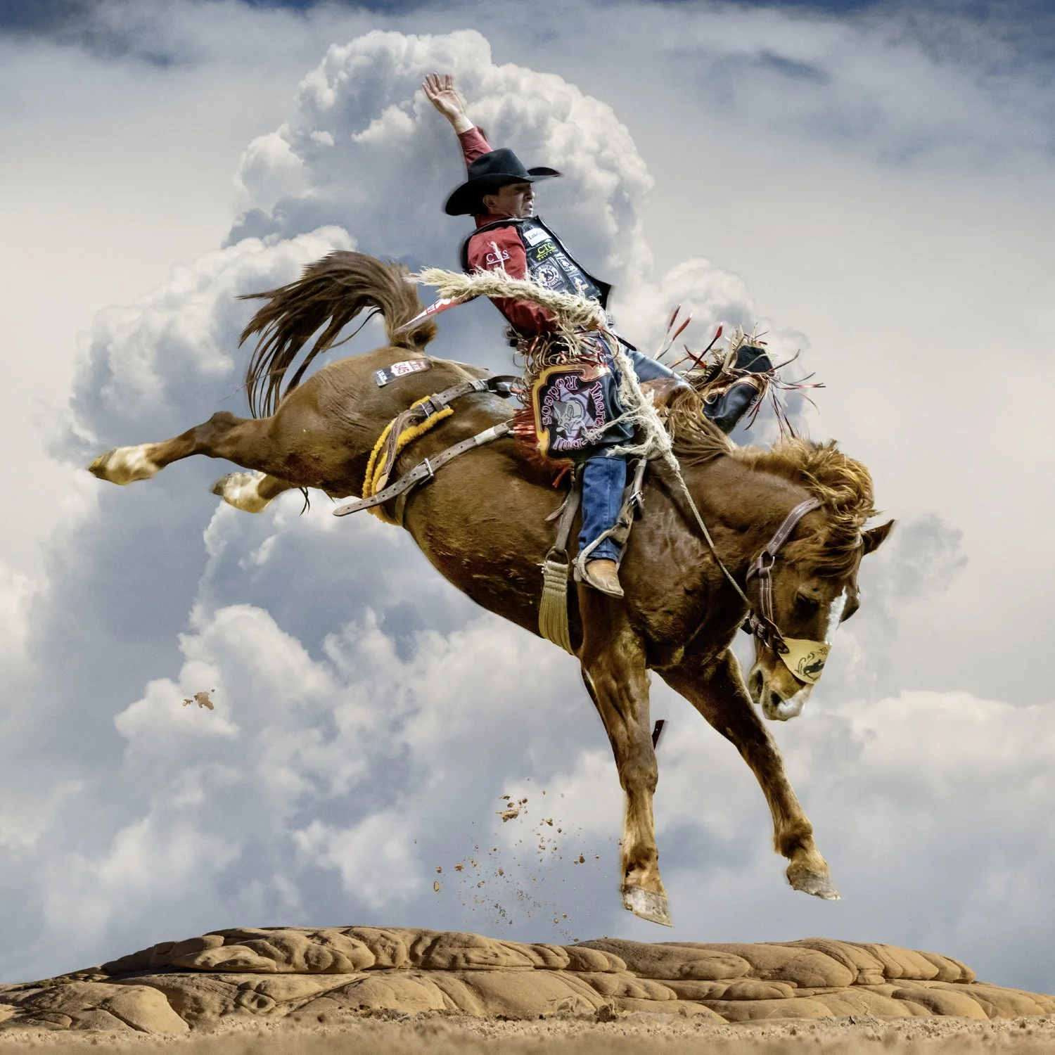 Christopher Martin Gallery