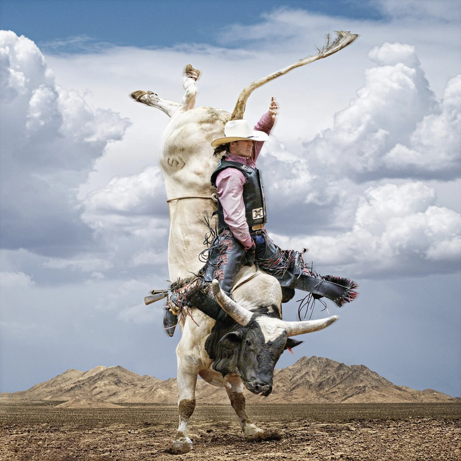 Christopher Martin Gallery