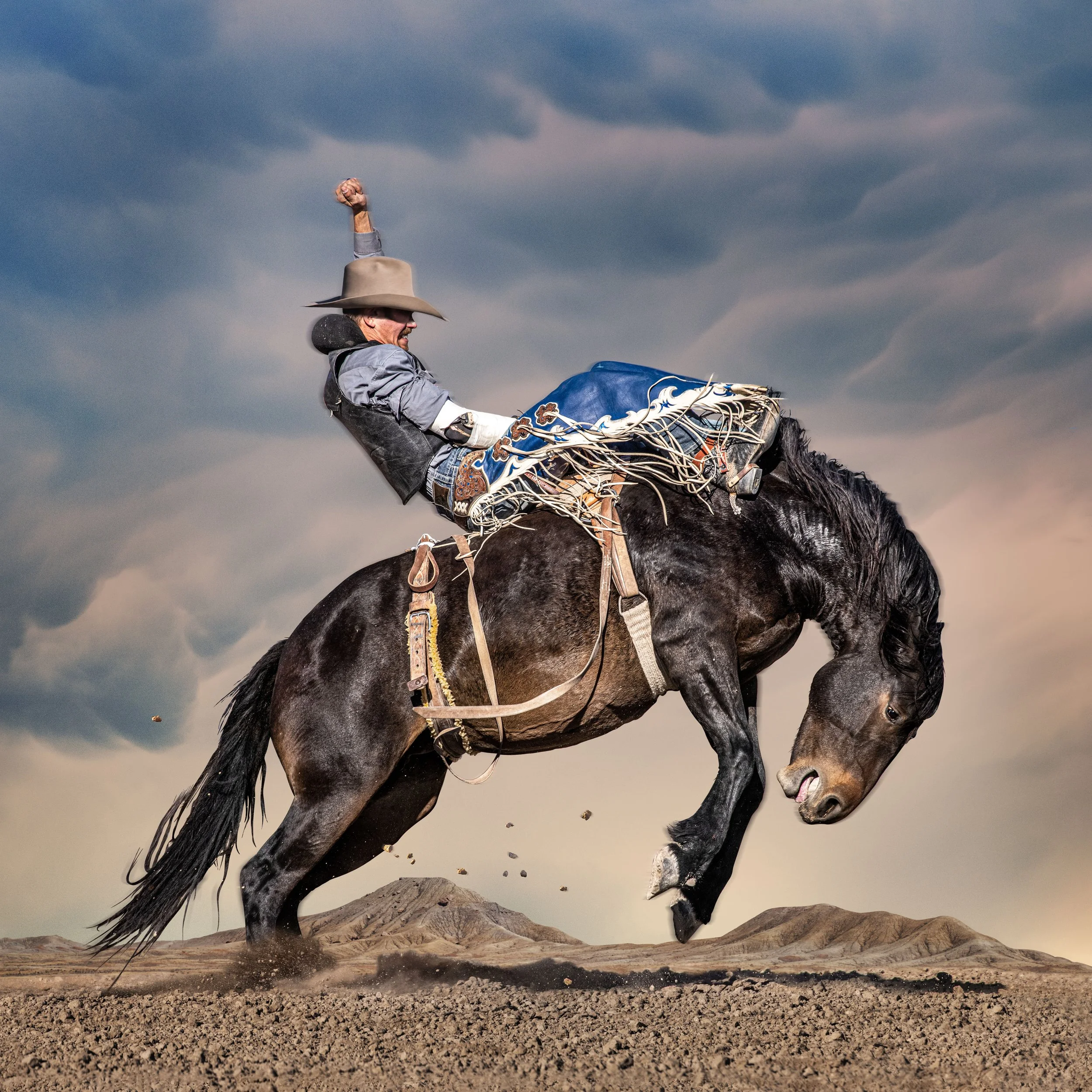 Christopher Martin Gallery—Larsen