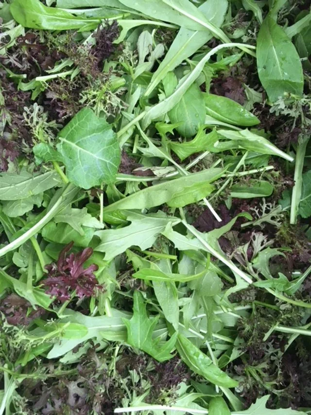 Moose Meadow Farm Order Produce