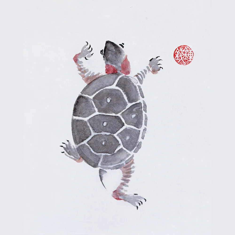 Chinese Turtle Drawing