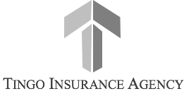The Tingo Insurance Agency