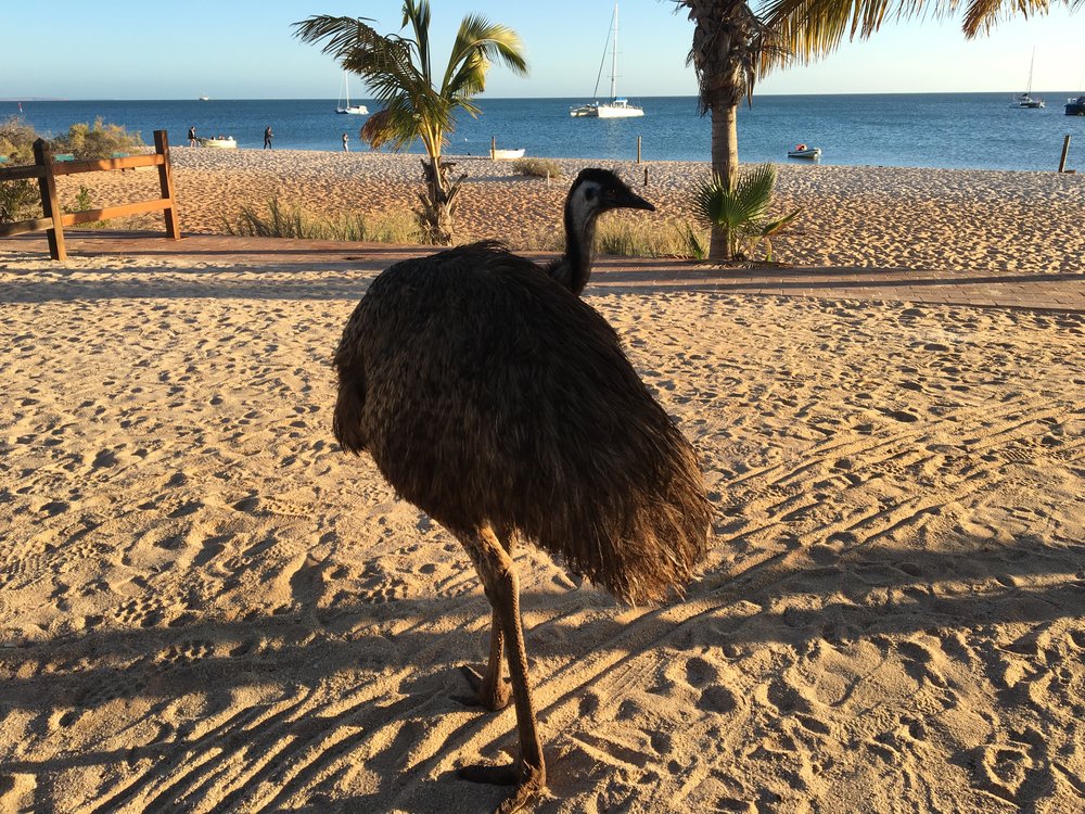 Eine Woche Westküste Australien - von Perth nach Exmouth — secret ...