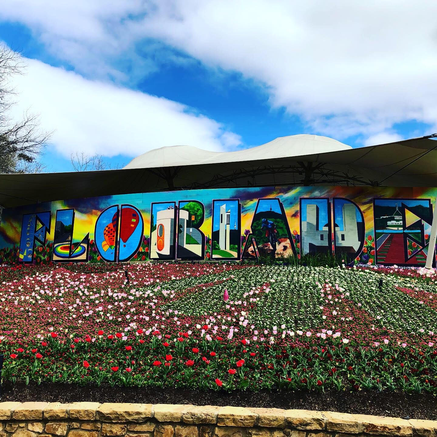 Spring In Canberra — Milk Chocolate