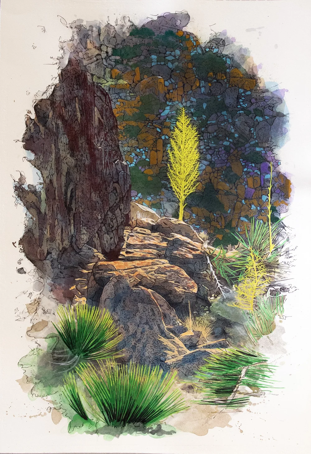 California Watercolors — Pat Watson